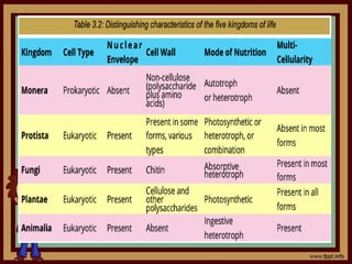 Five kingdom Classification | PPT
