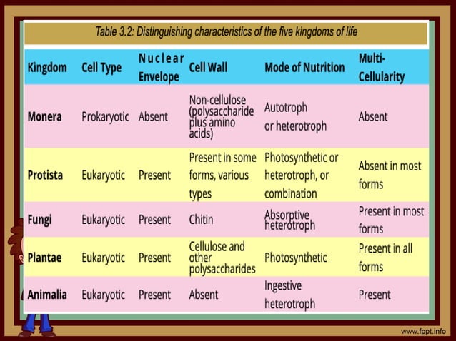 Five kingdom Classification | PPT | Biological Sciences | Science