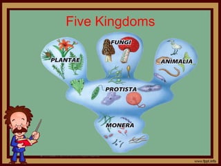 Five kingdom Classification | PPT