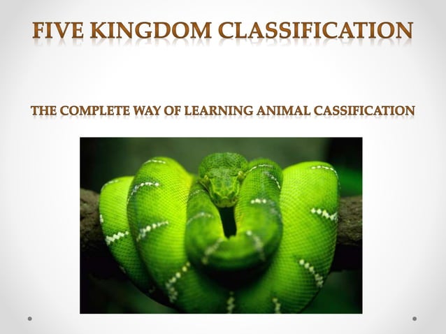 Five Kingdom Classification Biology Favorite Ppt