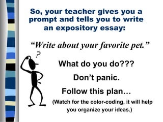 Five paragraph essay | PPT