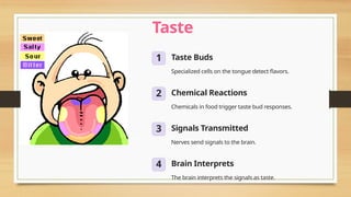 Five-SensesFive-SensesFive-SensesFive-SensesFive-Senses.pptx