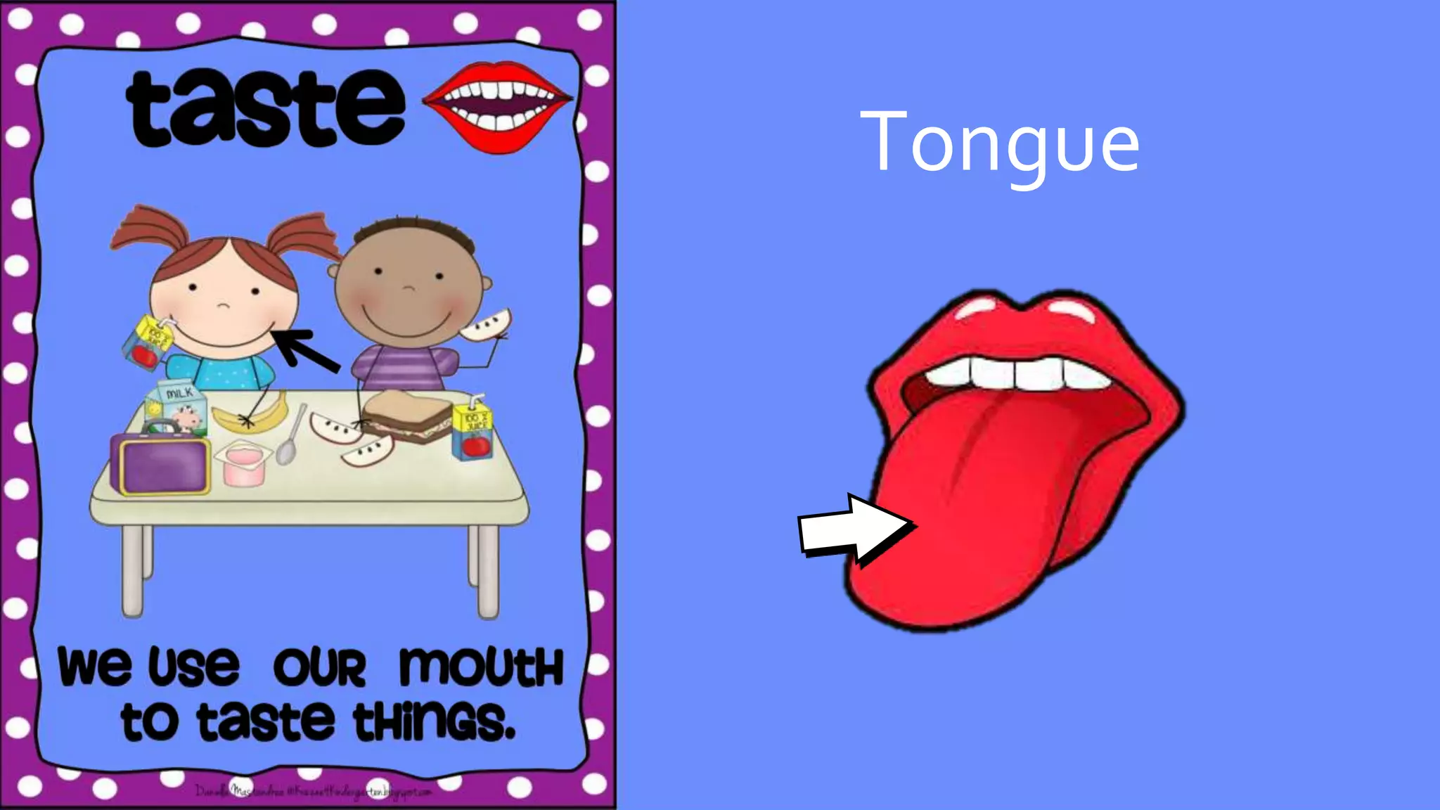 Five senses-flashcards-flashcards | PPTX