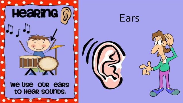 Five senses-flashcards-flashcards | PPT