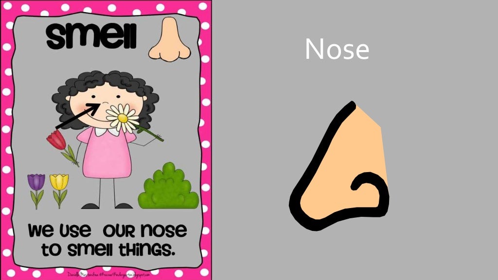 Five senses-flashcards-flashcards