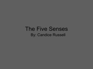 Five Senses Powerpoint | PPT