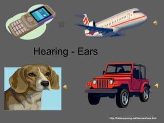 Five Senses Powerpoint | PPT