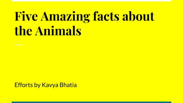 Five amazing facts about the animals | PPT