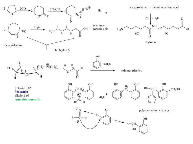 five and six membered heterocycles ppt.pdf | Chemistry | Science