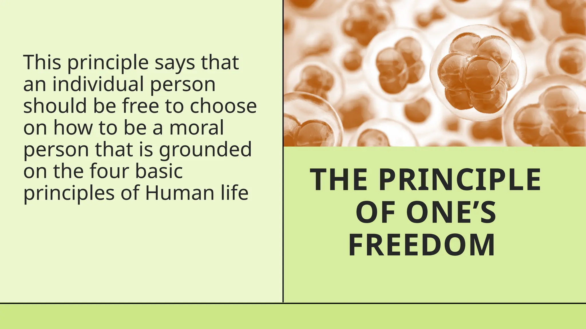 FIVE BASIC PRINCIPLE OF HUMAN LIFE .pptx