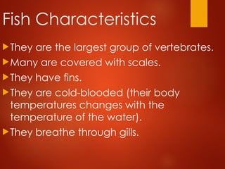 five classes of vertebrates.pptdcdcdcdcdcdc | PPT