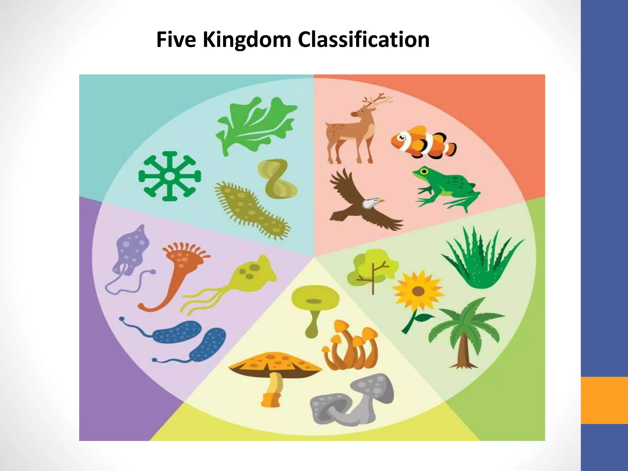 FIVE KINGDOM CLASSIFICATION-RH Whittaker | PPTX