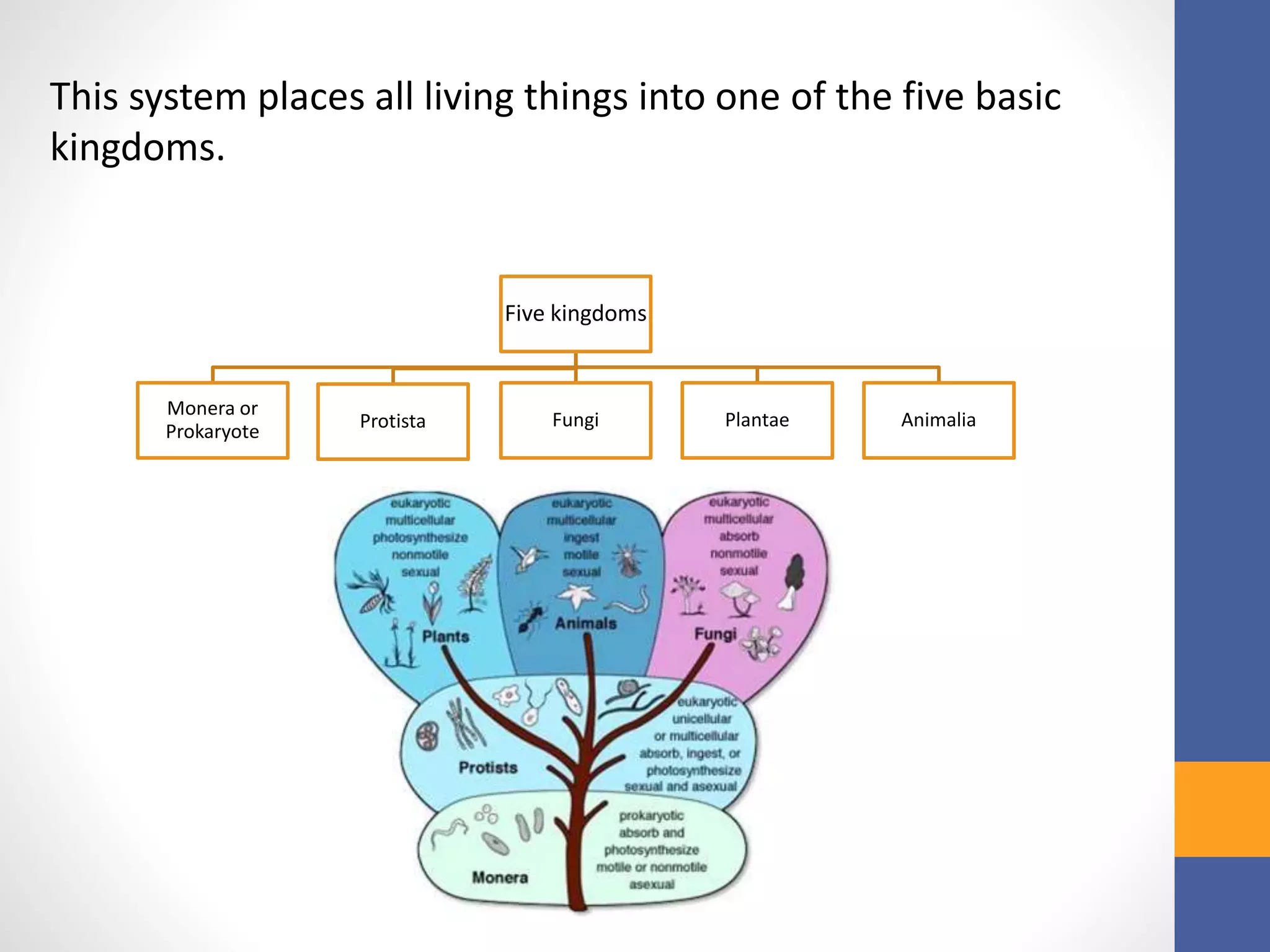 FIVE KINGDOM CLASSIFICATION-RH Whittaker | PPTX