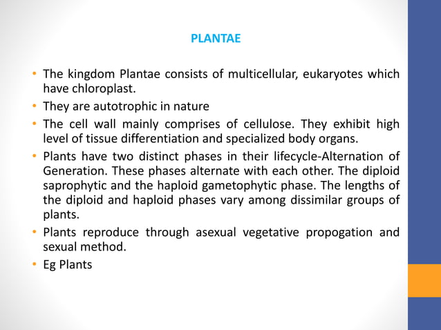 FIVE KINGDOM CLASSIFICATION-RH Whittaker | PPTX | Biological Sciences ...