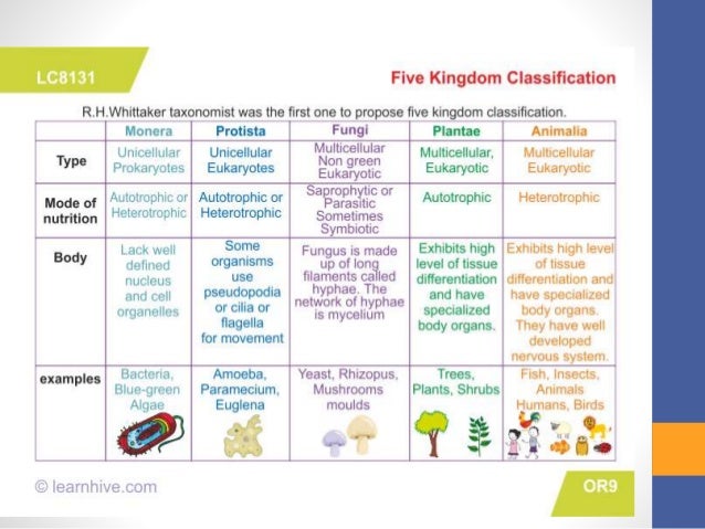 FIVE KINGDOM CLASSIFICATION-RH Whittaker