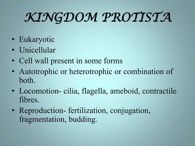 Five kingdom classification | PPTX
