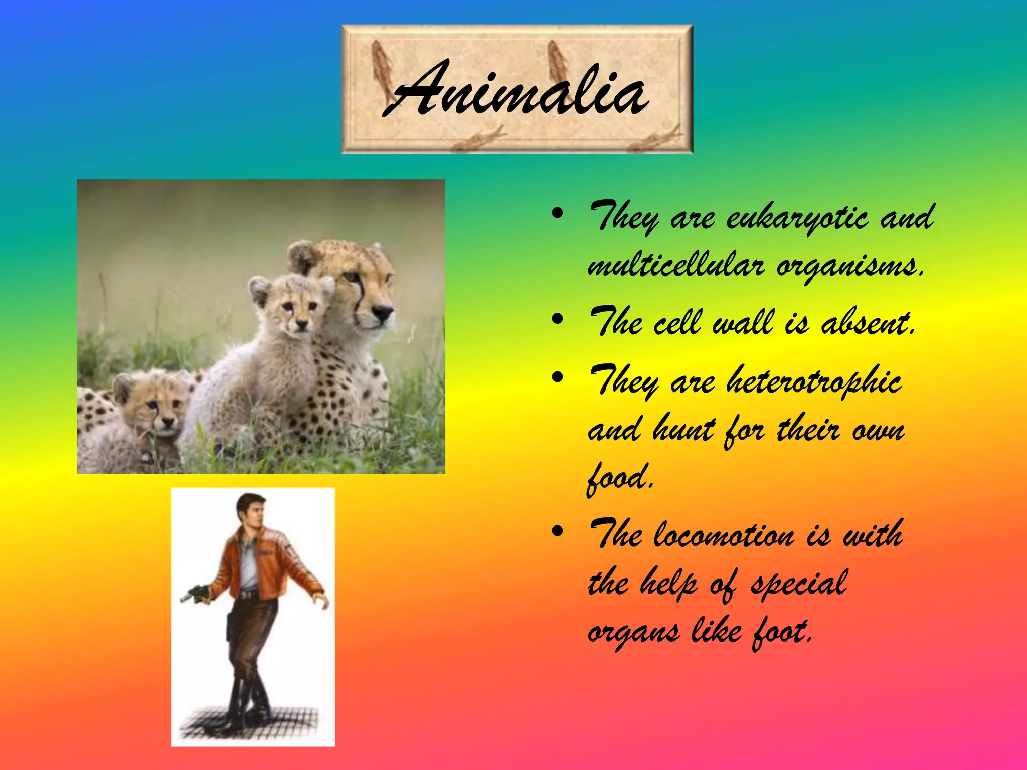Five Kingdom Classification System Ppt