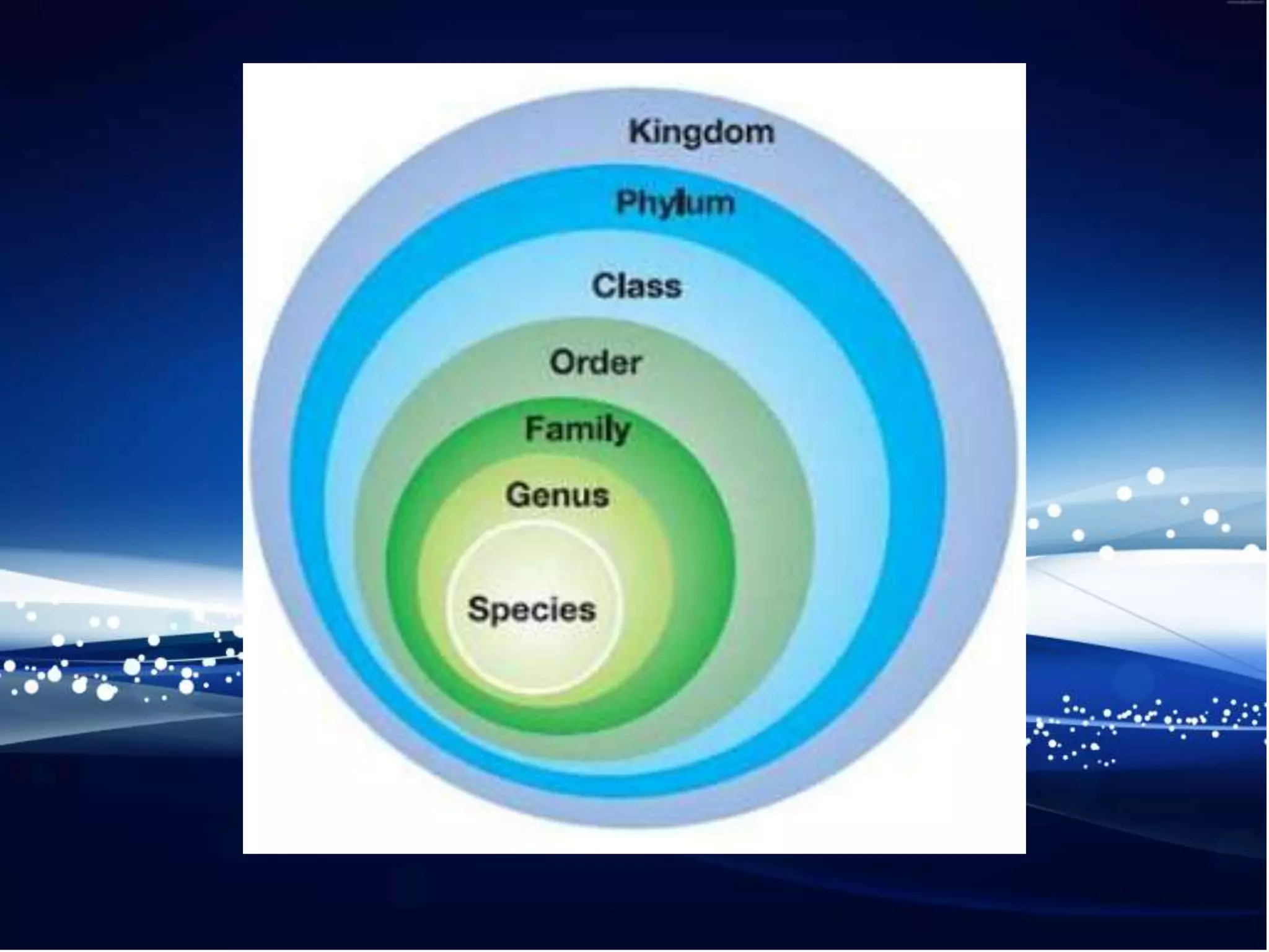 Five Kingdom Classification | PPTX