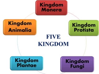 Five kingdom classification | PPT