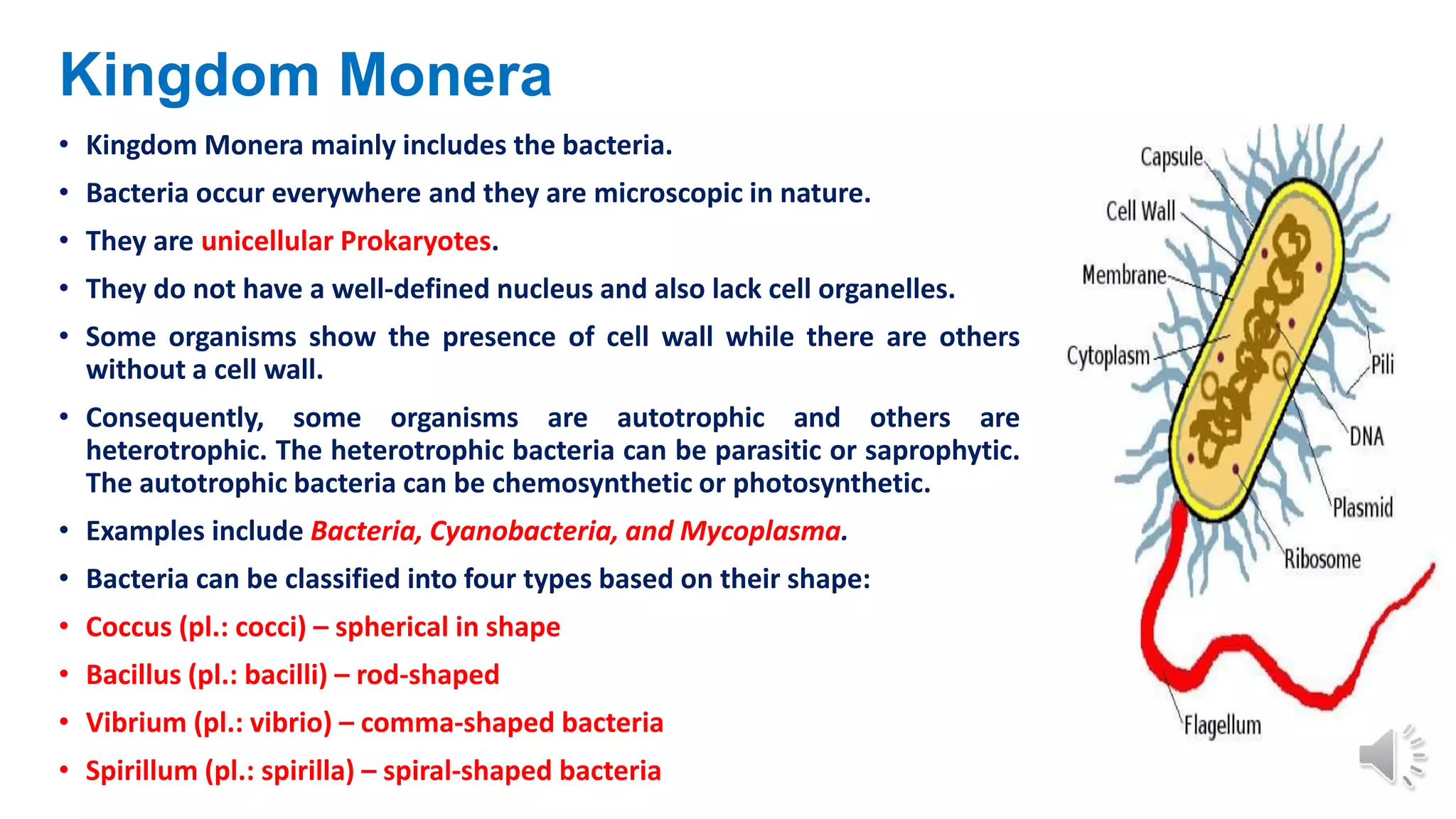 Five kingdom classification | PPTX