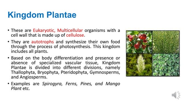 Five kingdom classification | PPTX | Biological Sciences | Science