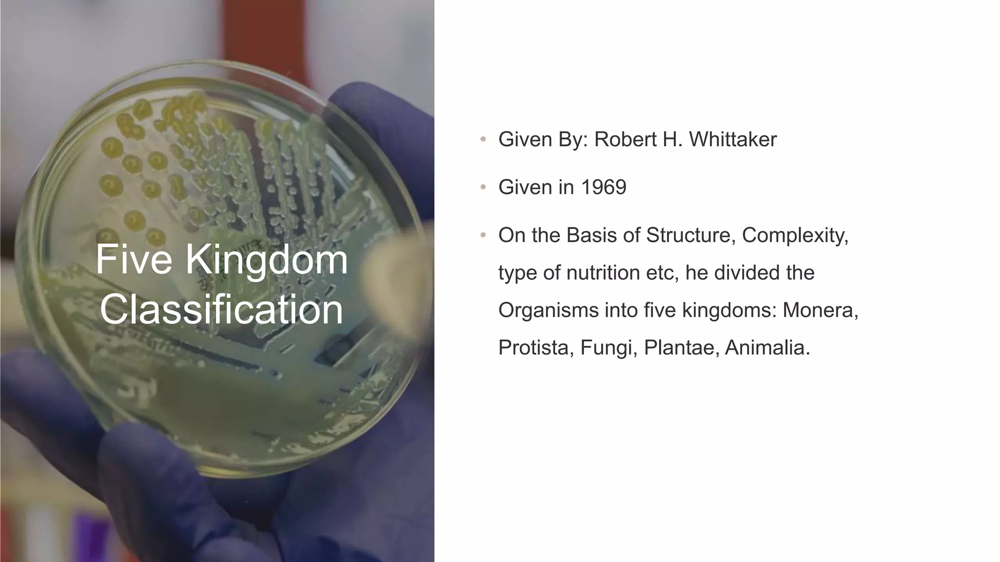Five Kingdom Classification of Organisms | PPT
