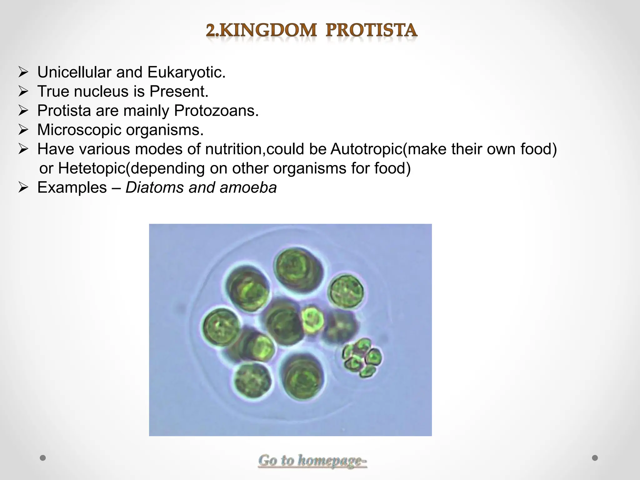 Five Kingdom Classification by Whittaker | PPT