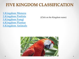 Five Kingdom Classification by Whittaker | PPTX