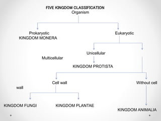 Five Kingdom Classification by Whittaker | PPT