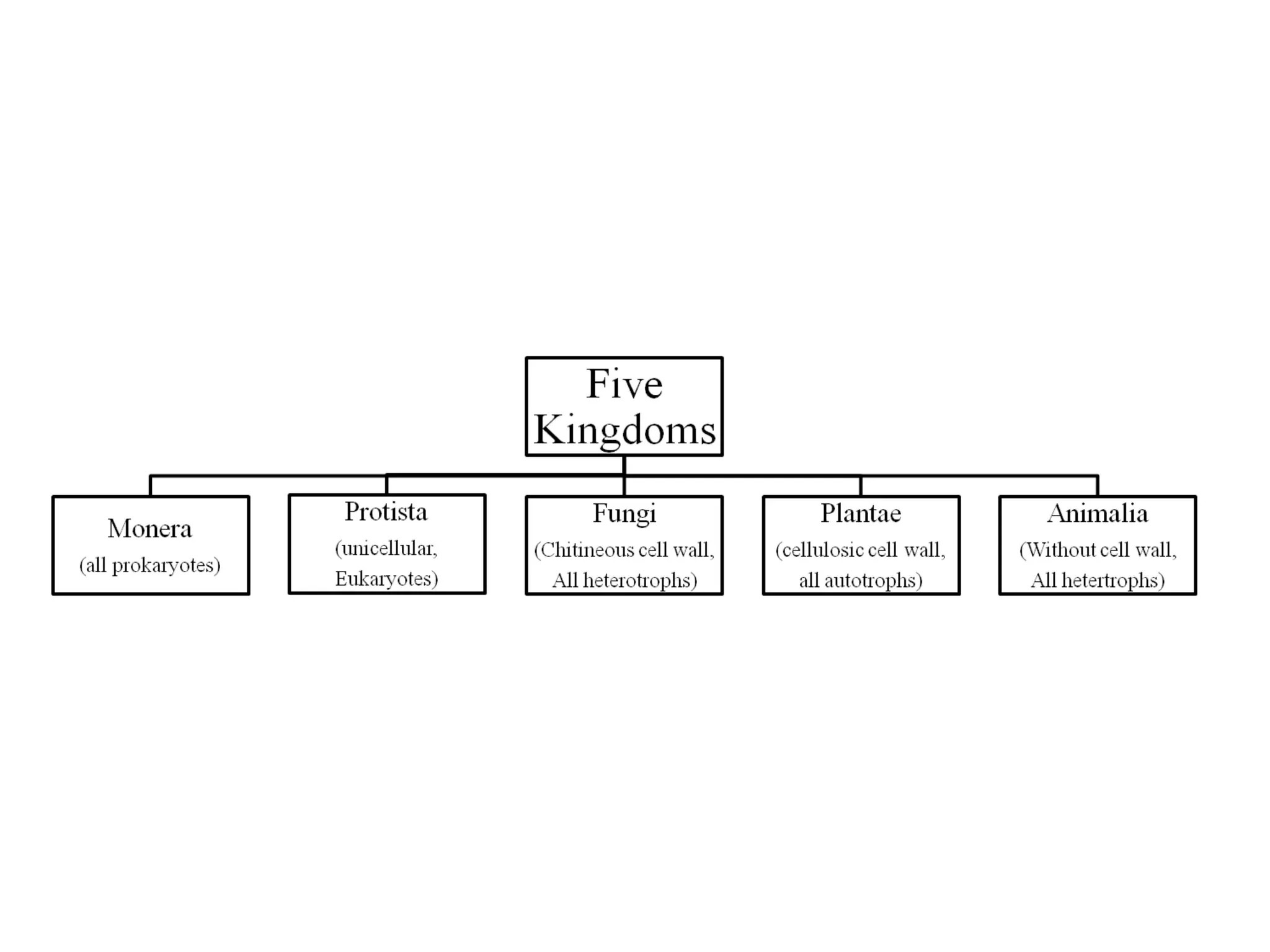 Five Kingdom Classification given by R J Whittaker | PPT