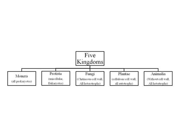 Five Kingdom Classification given by R J Whittaker | PPT