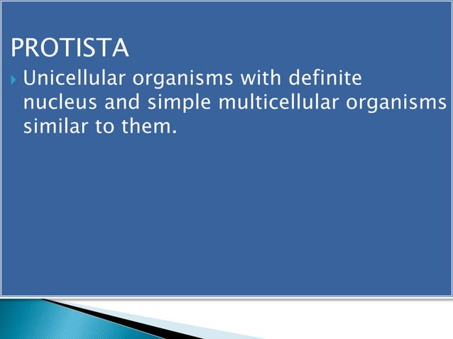 Ppt On Five Kingdom Classification Robert Ppt