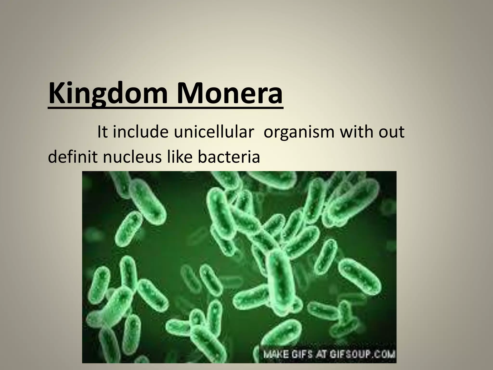 Five kingdom classification12 | PPTX