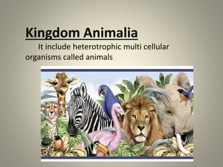 Five kingdom classification12 | PPTX