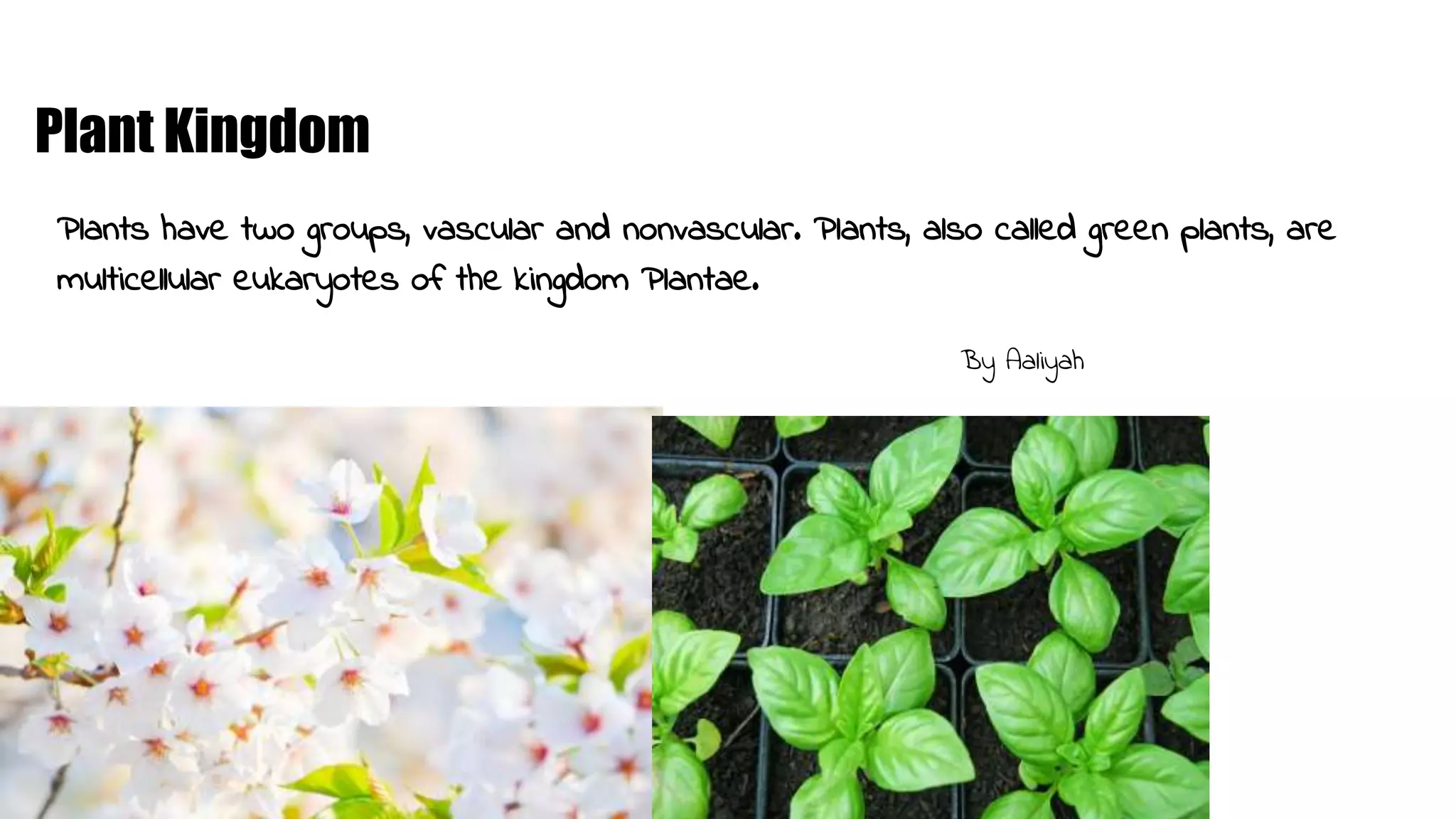 Five kingdoms | PPTX