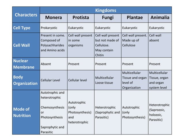 Five kingdom system | PPT