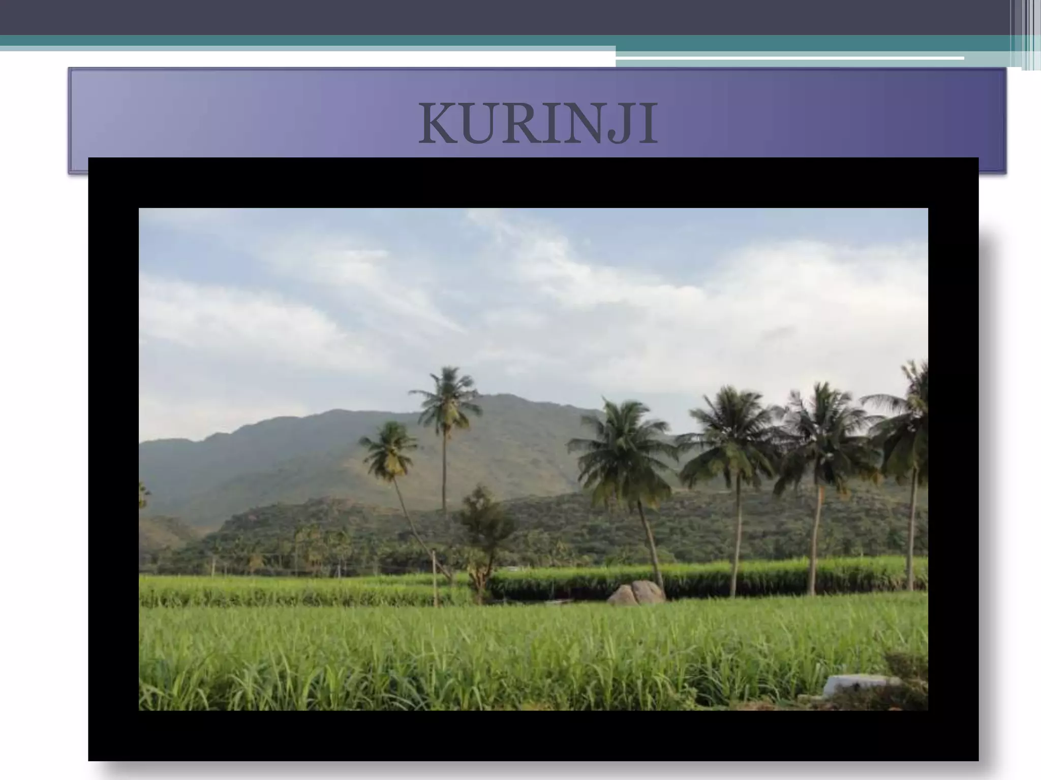 Five landscape of ancient tamilnadu(kurinji , mullai, marutham, neythal ...