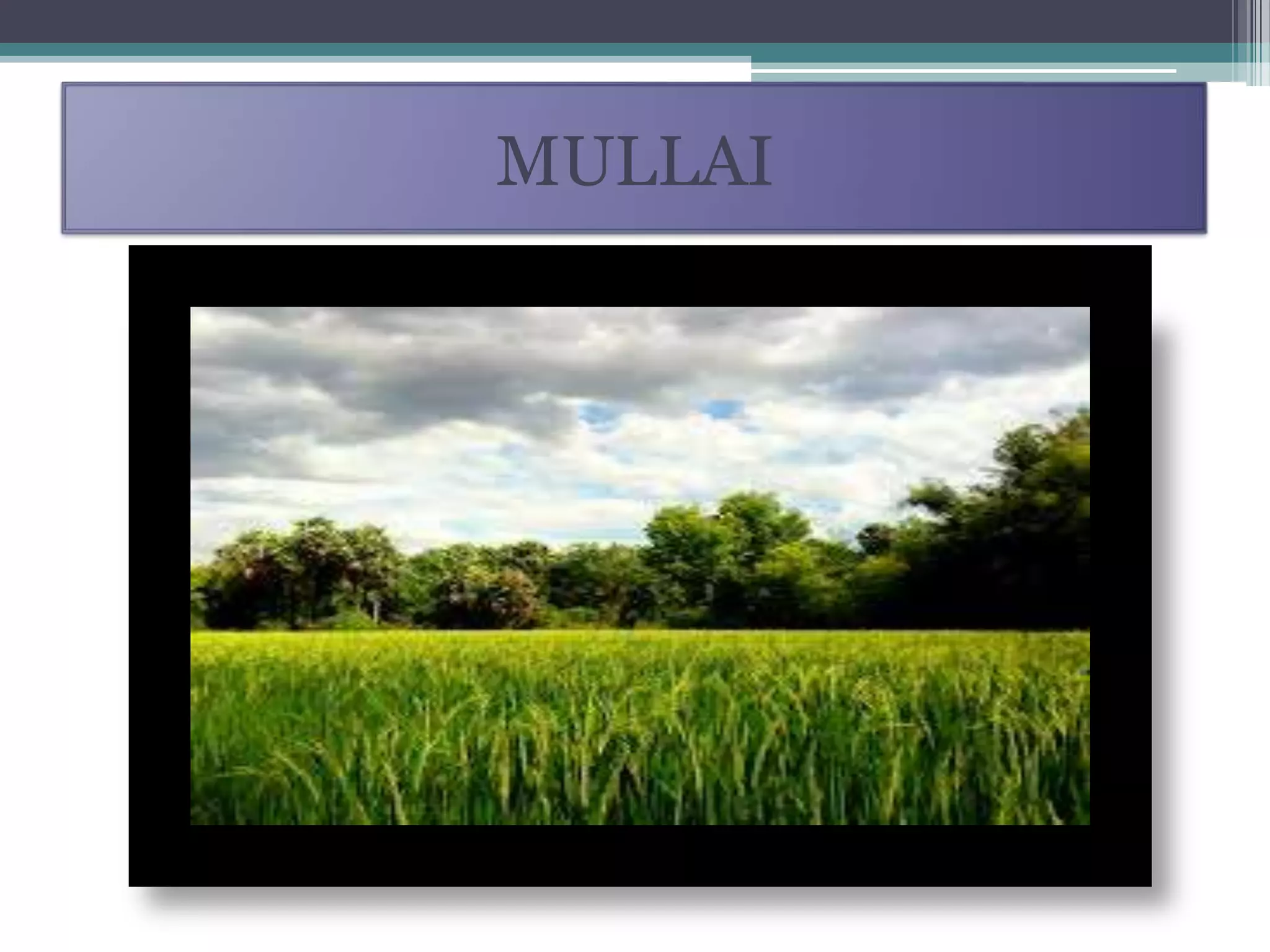 Five landscape of ancient tamilnadu(kurinji , mullai, marutham, neythal ...