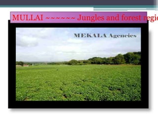 Five landscape of ancient tamilnadu(kurinji , mullai, marutham, neythal ...