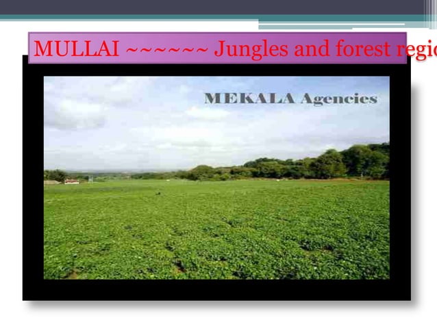 Five landscape of ancient tamilnadu(kurinji , mullai, marutham, neythal ...