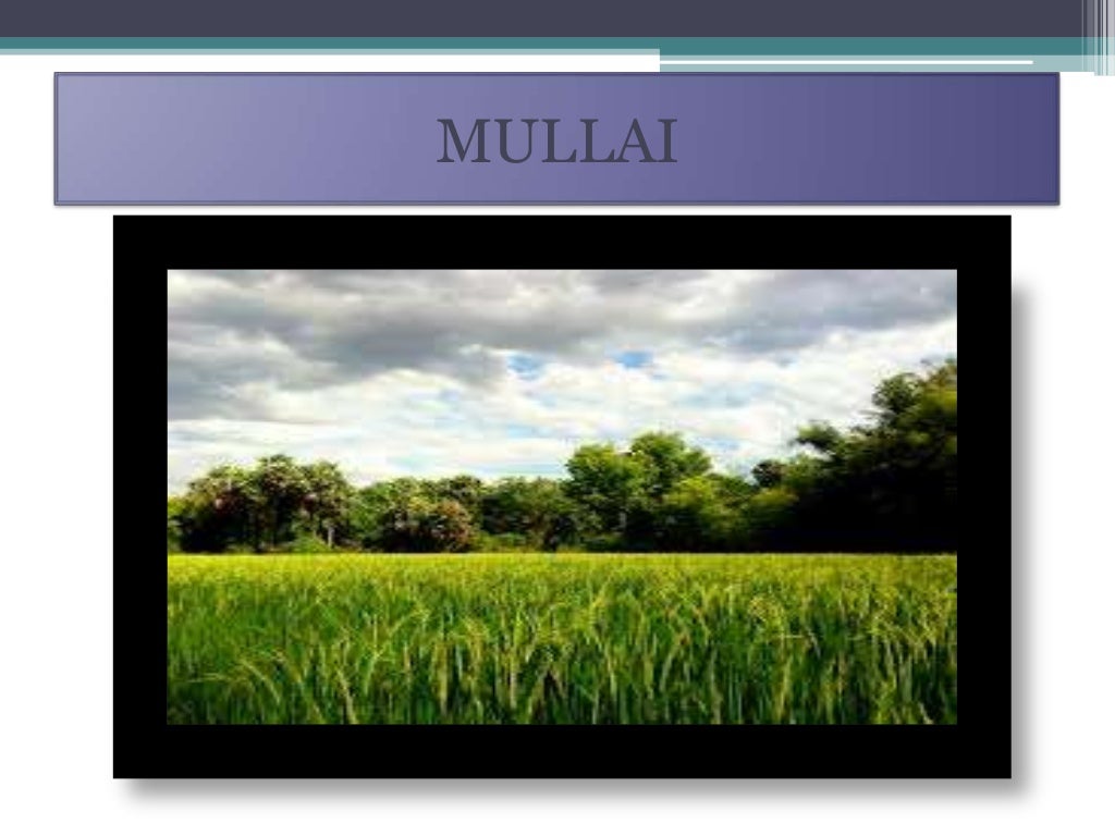 Five landscape of ancient tamilnadu(kurinji , mullai, marutham, neyth…