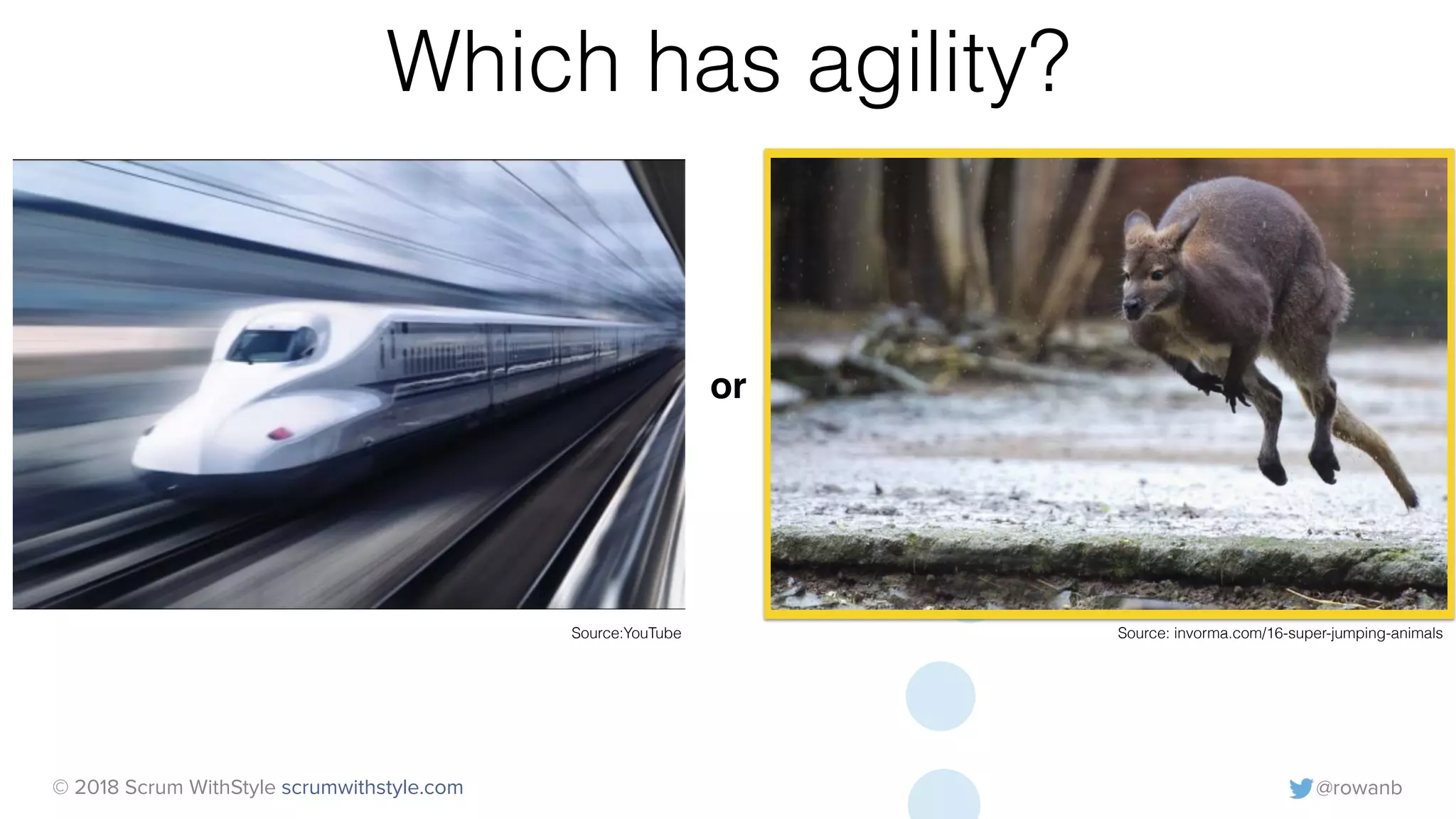 Five Leadership Lenses For Agile Success Ppt
