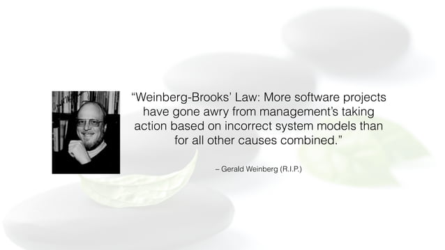 Five leadership lenses for agile success | PPT