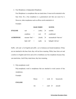 Introduction to Basic Linguistics of English Language | PDF