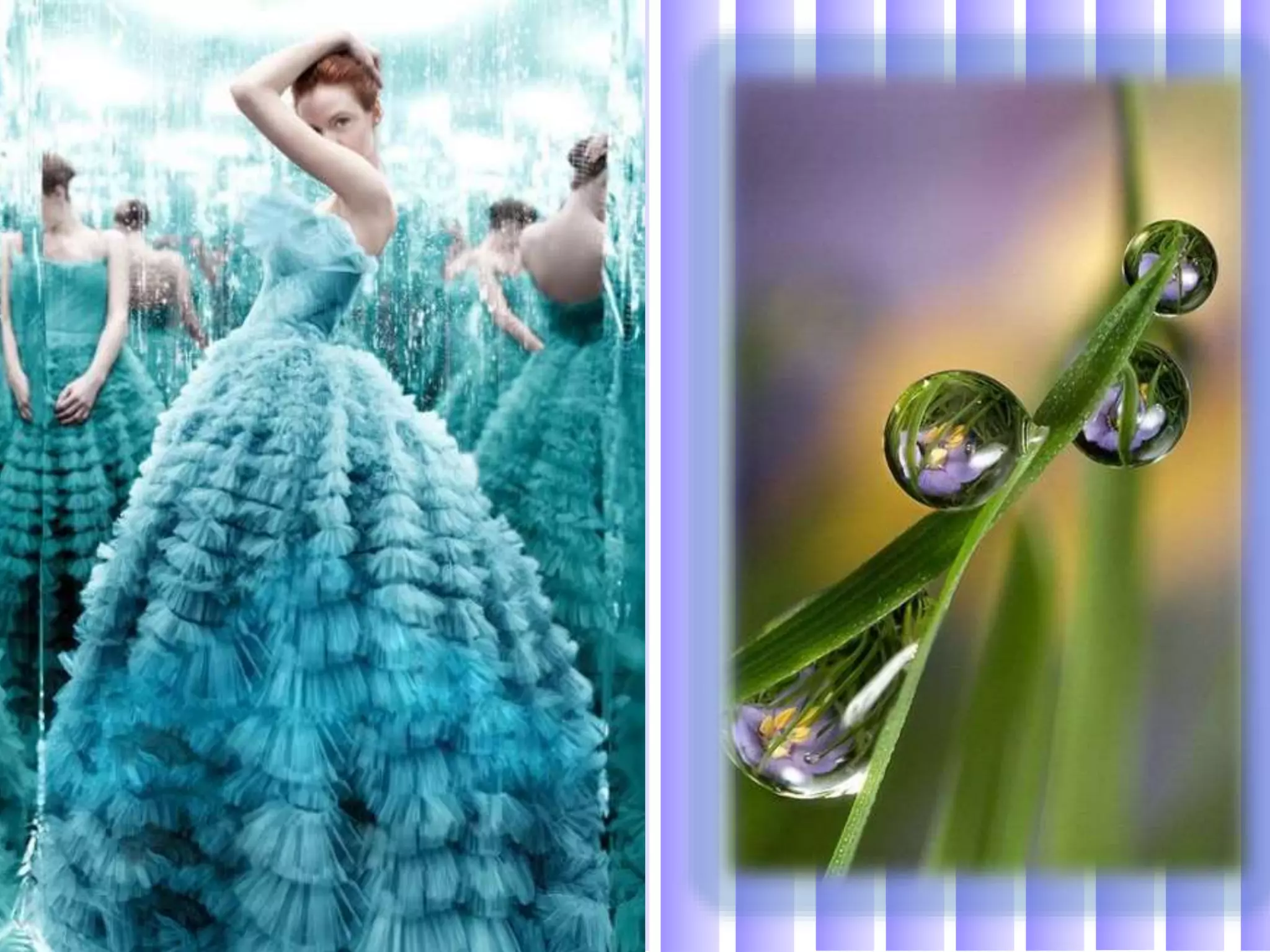 Five elements of Nature | PPTX