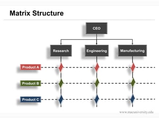 Five Organisational Structures | PPT