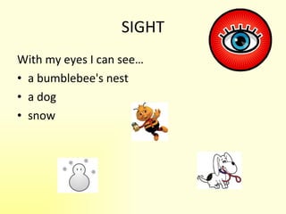 Five Senses | PPS