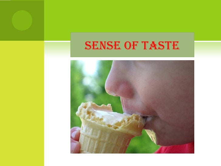 The Five Senses