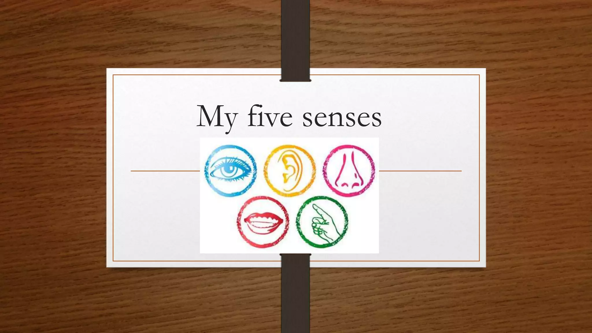The Five Senses Powerpoint