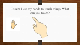 The Five senses Powerpoint | PPTX